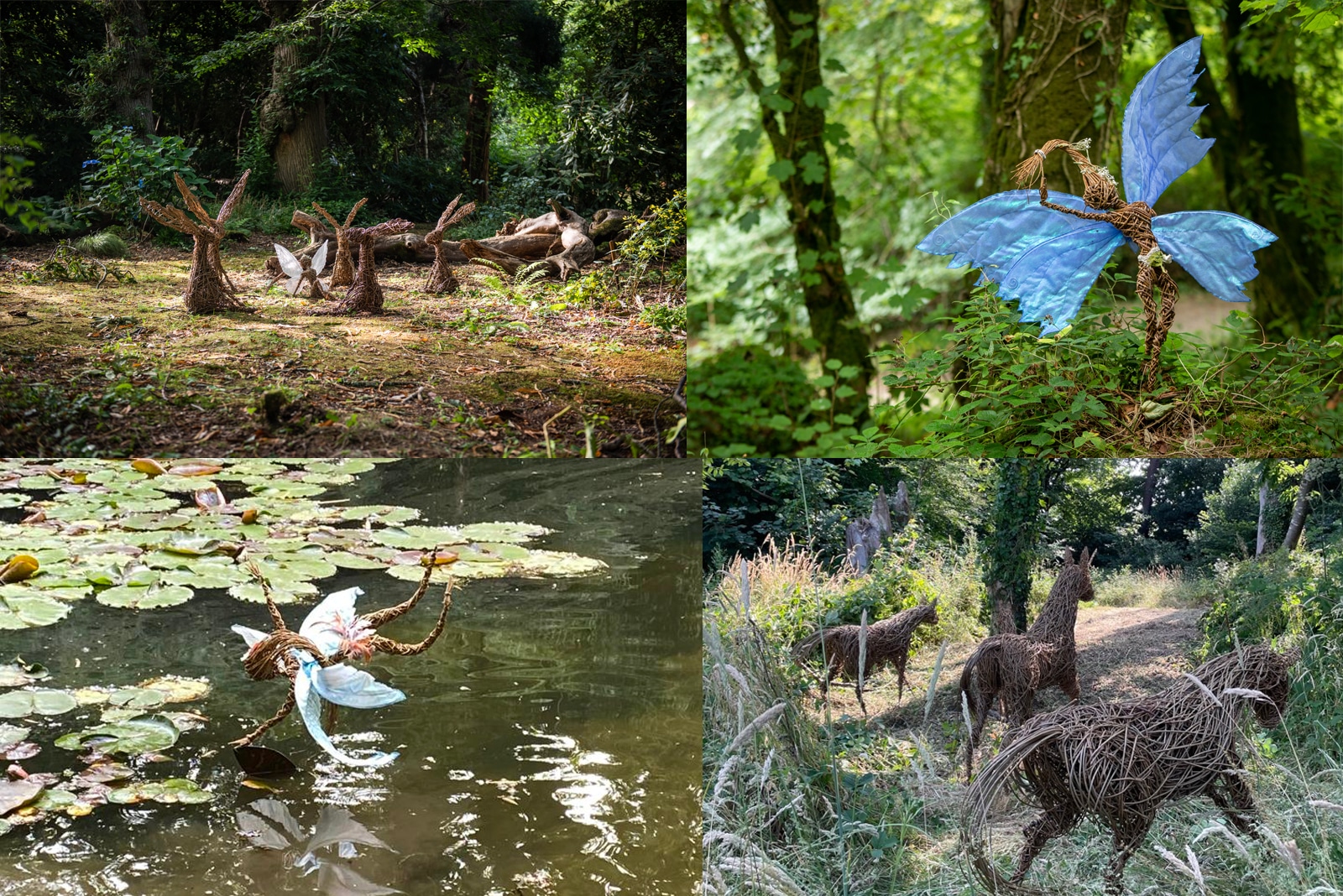 An Enchanted Trail | Boconnoc House & Estate